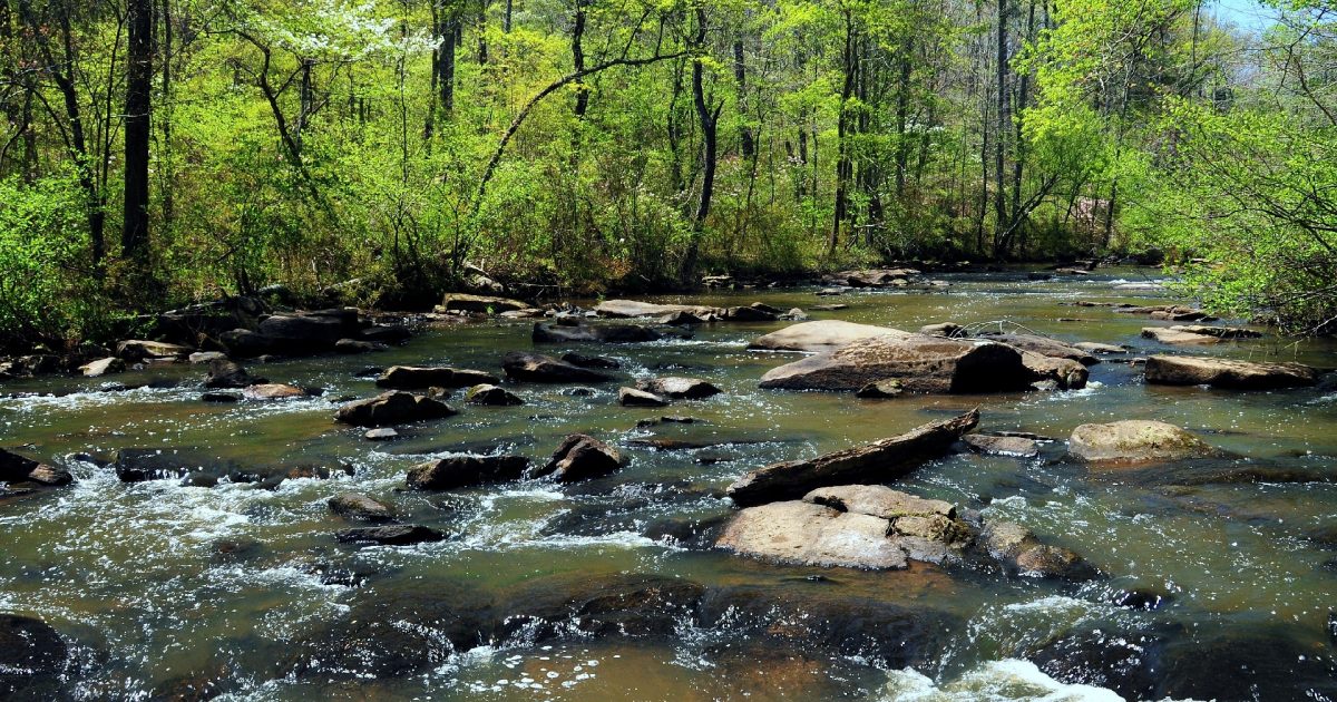 Visitor Guide & Brochures | Visit Peachtree City