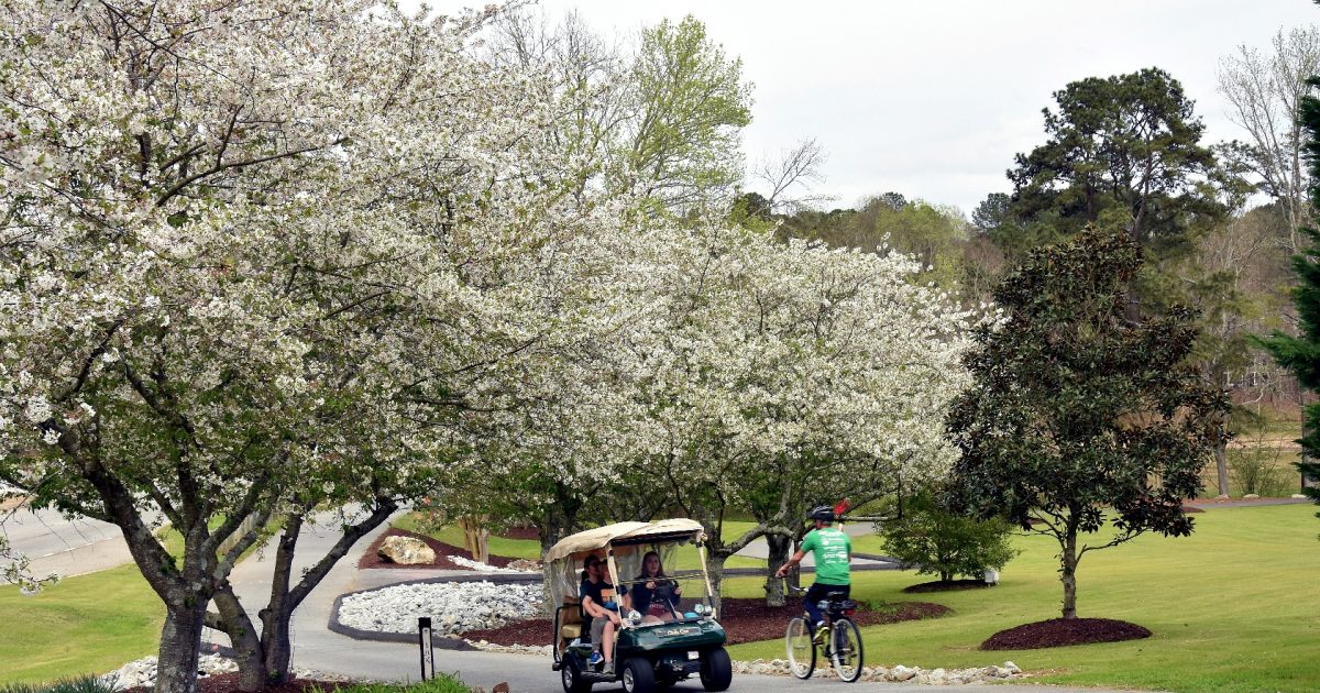 Thanks for Signing Up! | Visit Peachtree City